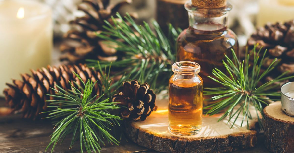 Olio essenziale di cedro: il rimedio naturale che pochi usano davvero ...
