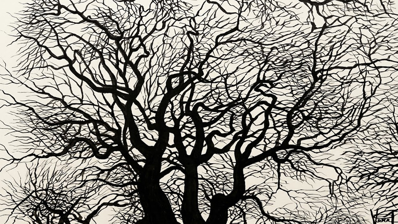 Nature ink drawing tutorial | Create detailed trees with simple steps