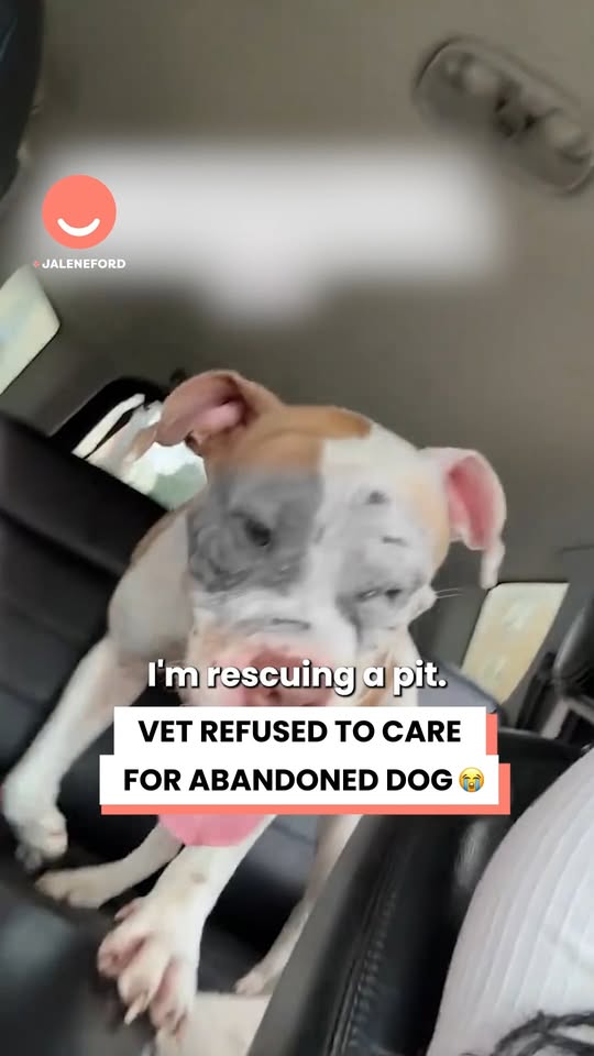 Vet refused to care for abandoned dog