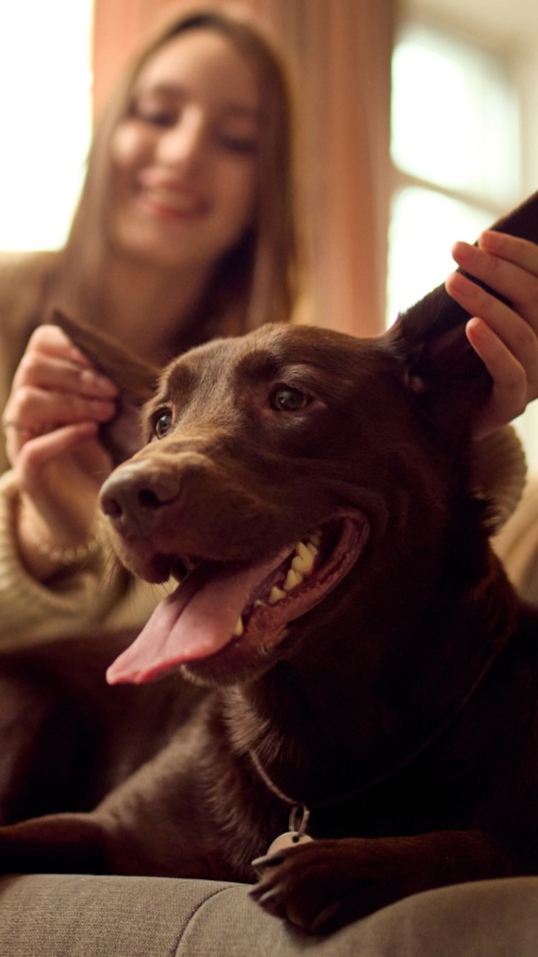 Things people do that dogs hate