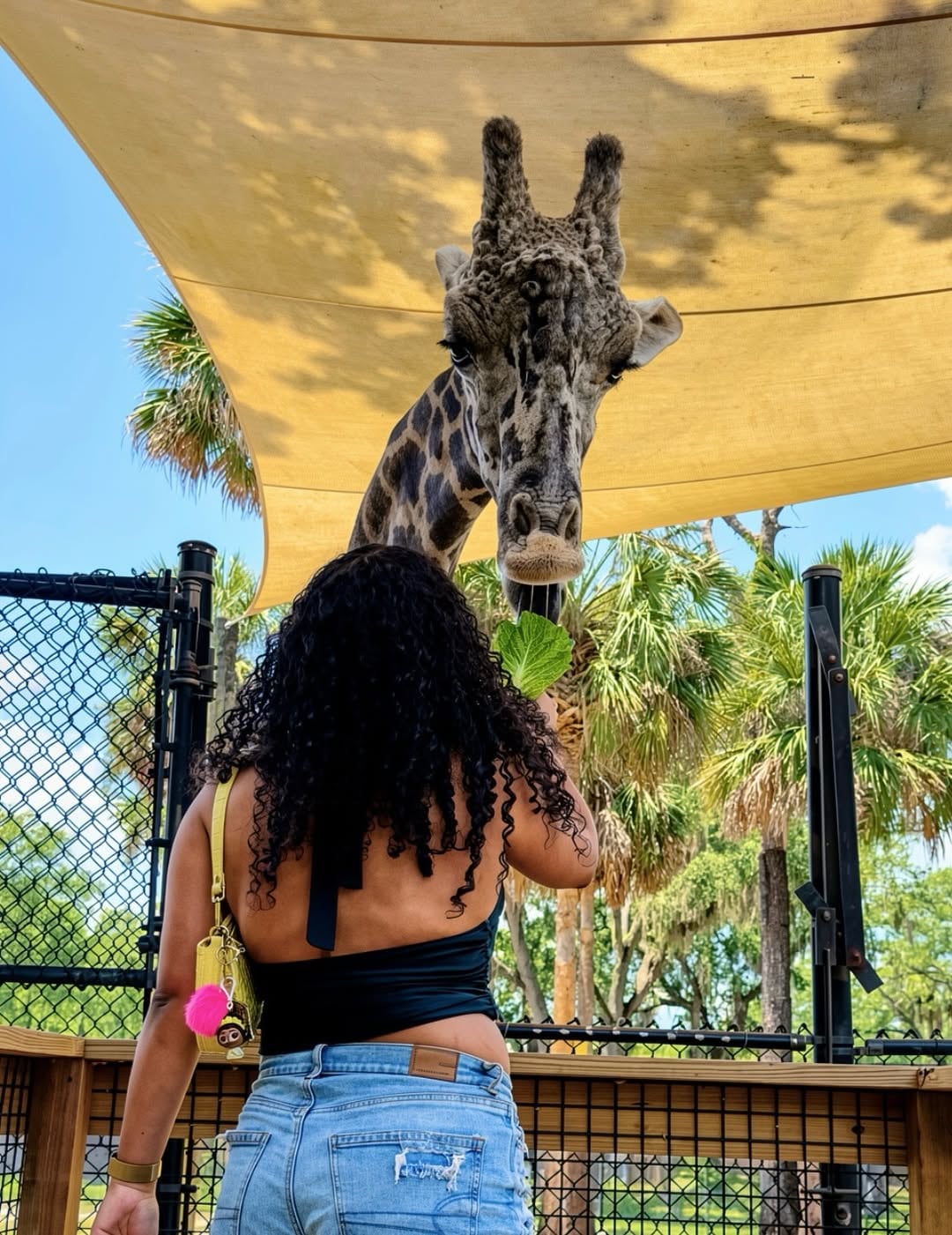 Central Florida Zoo celebrates LGBTQ+ Pride with food, music and fun