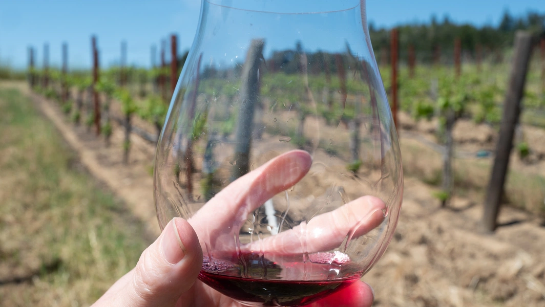 Mastering wine tasting and pairing