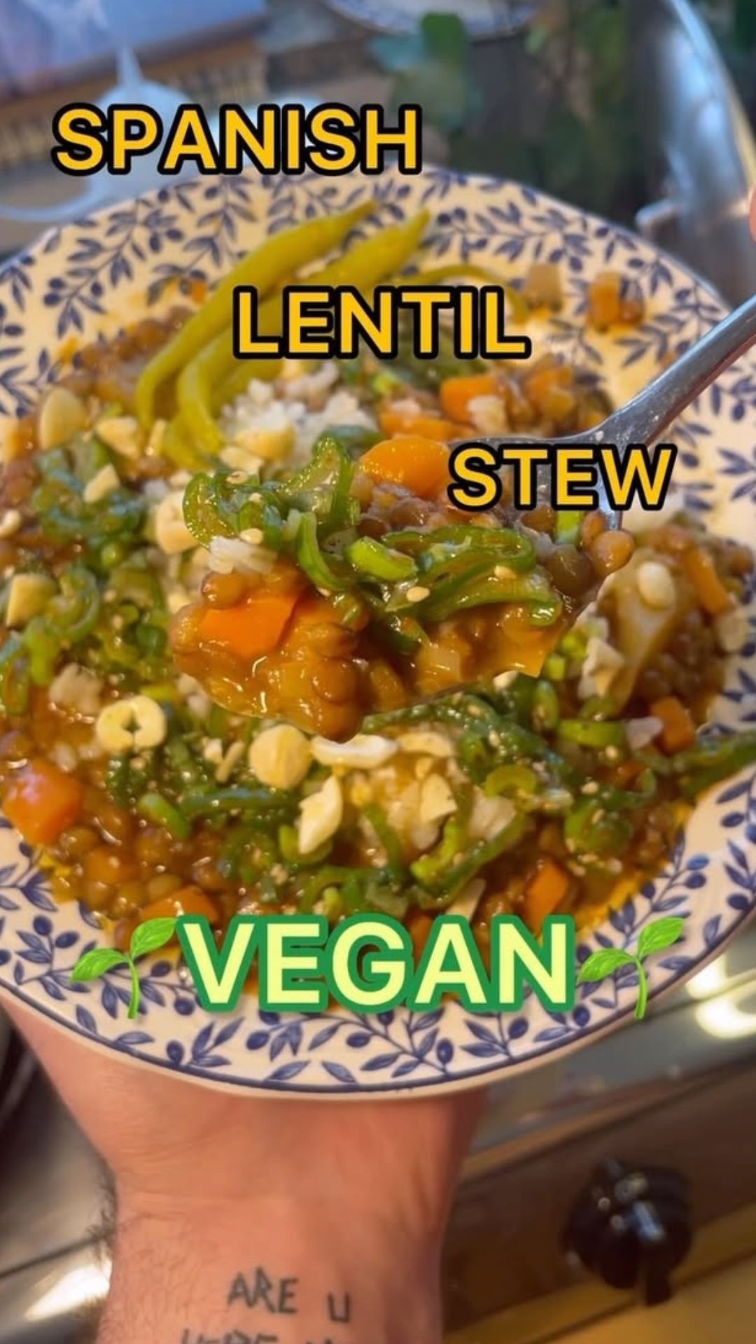 Healthy vegan lentils Spanish-style: Protein-packed recipe