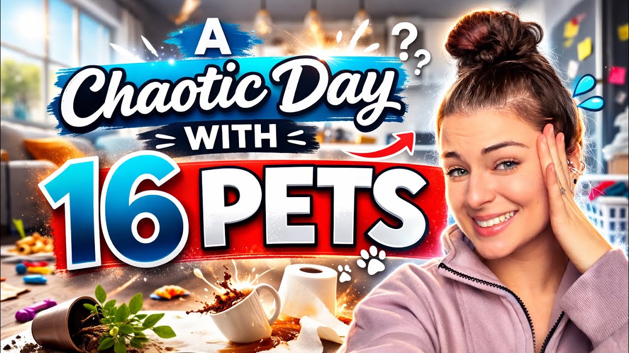 A totally chaotic day with my 16 pets