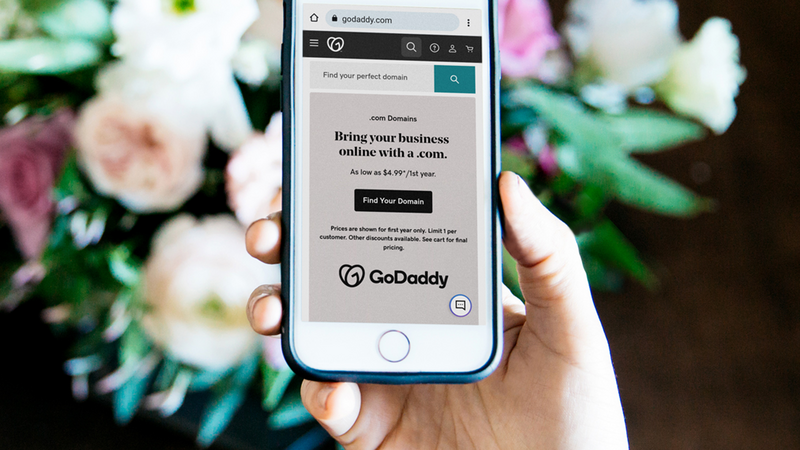 GoDaddy promo codes in month year | offer_label