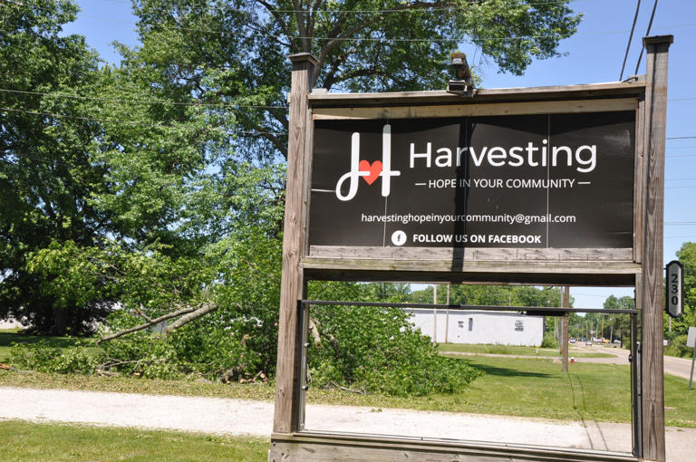 Fallen tree temporarily disrupts Harvesting Hope services in Sebring
