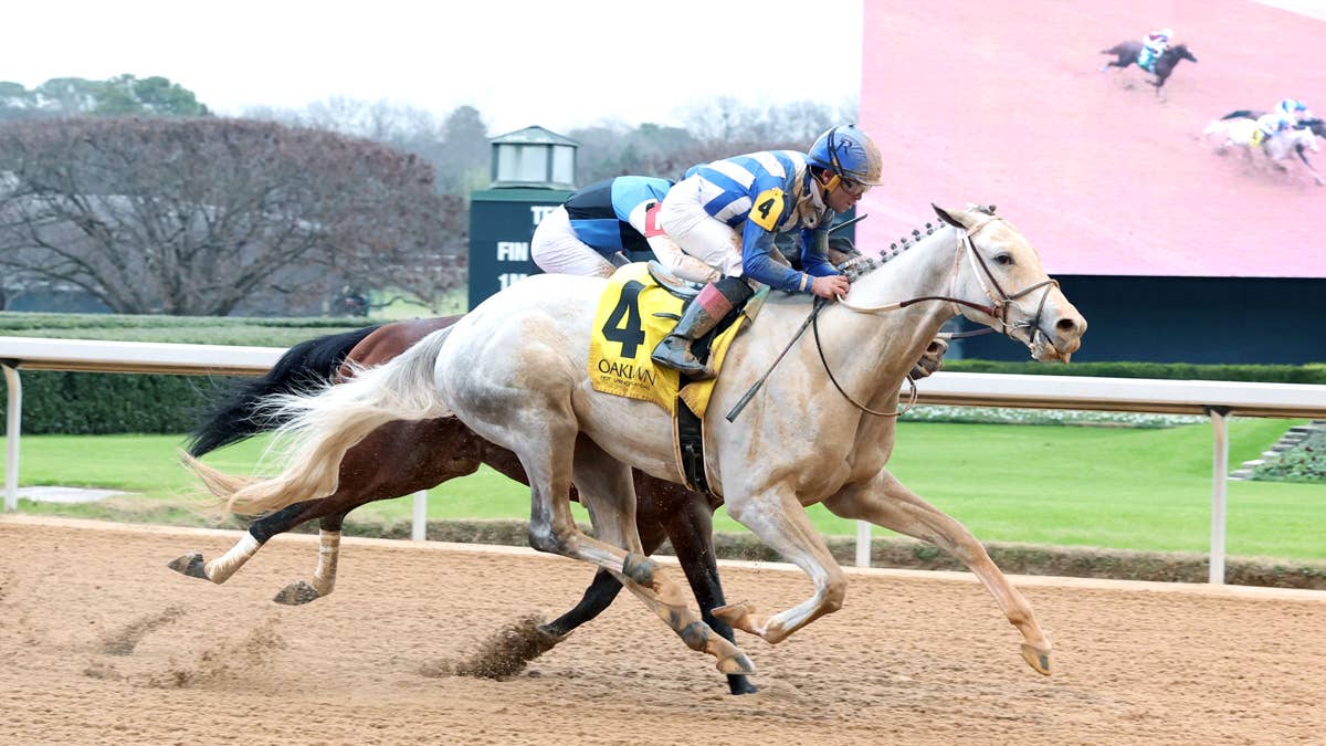 Stakes winner Tap Into This retired to Valor Farm in Texas