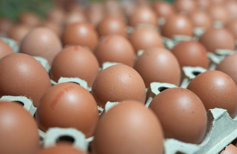 Eier-Betrüger wird zu zwei Jahren Haft verurteilt