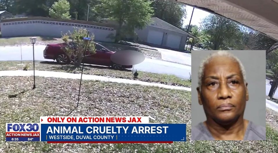 Jacksonville woman pleads not guilty to intentionally running over ...