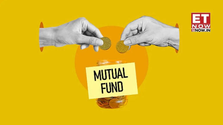 Mutual fund champions: Nippon leads large and small cap, Edelweiss tops ...