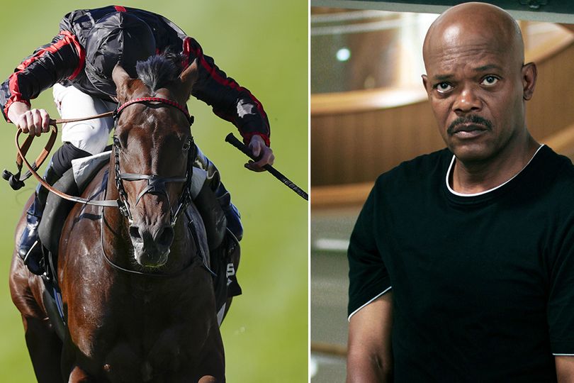 HOLLYWOOD PRODUCER COMPARES £2M DERBY RUNNER TO MOVIE LEGEND SAMUEL L ...