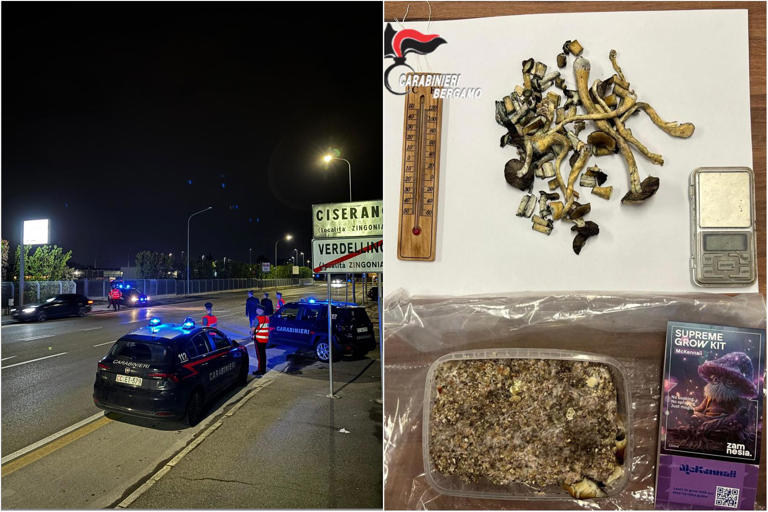 Coltivavano funghi allucinogeni in casa, dove avevano anche un machete ...