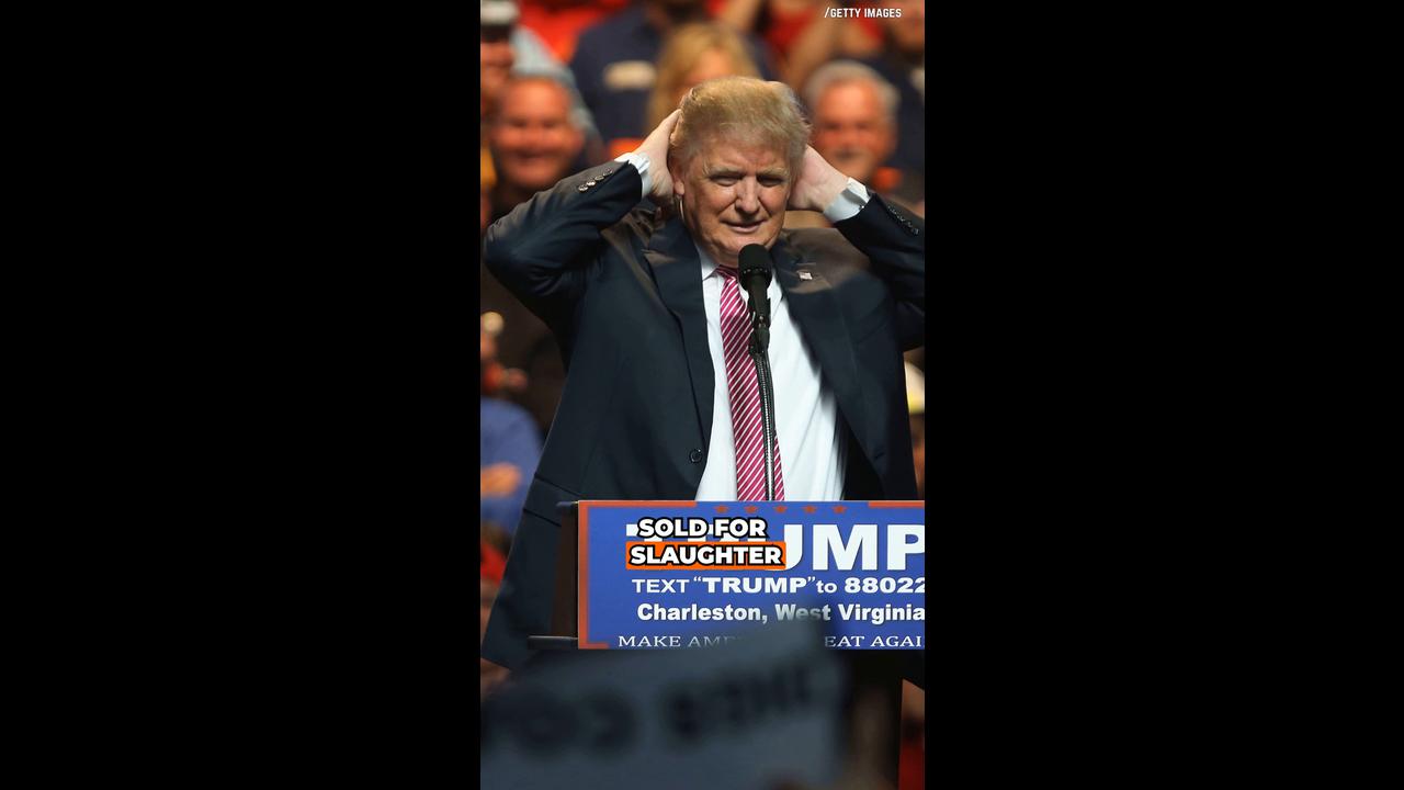 Viral buffalo nicknamed Donald Trump escapes Eid sacrifice