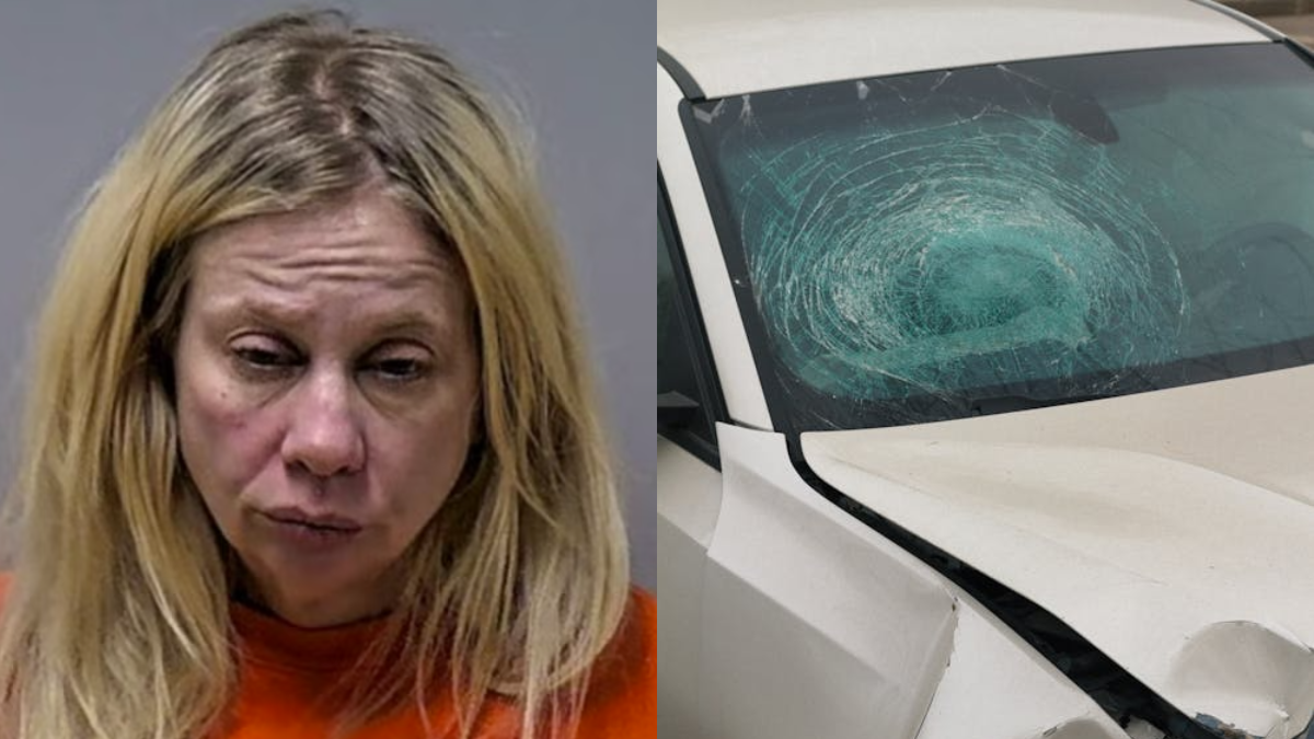 Minnesota woman says dog grabbed steering wheel, causing crash that ...