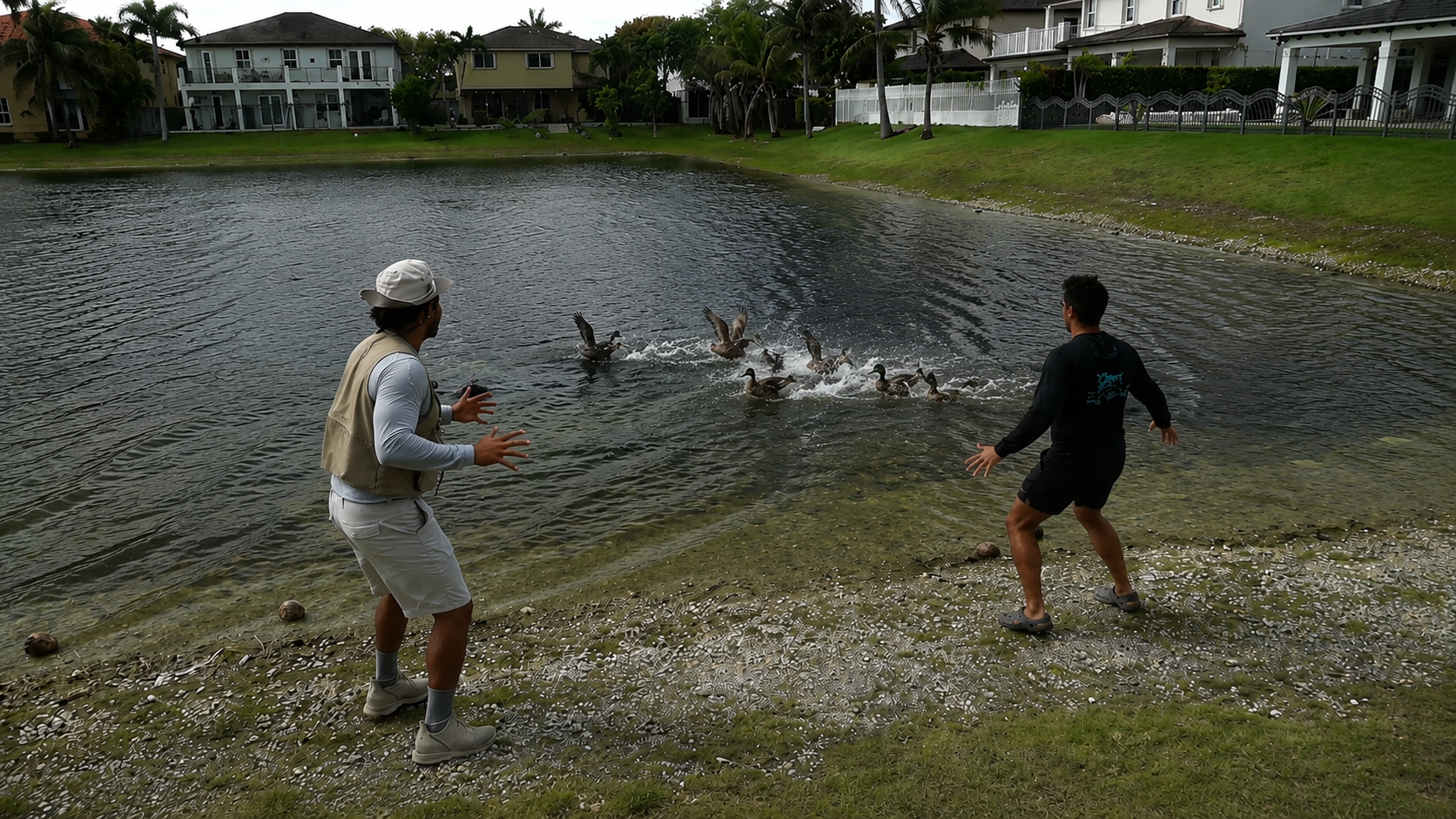 They thought that this fish could not kill the duck until it happened ...