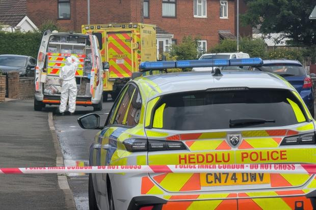 Emergency services respond to early hours incident on residential street