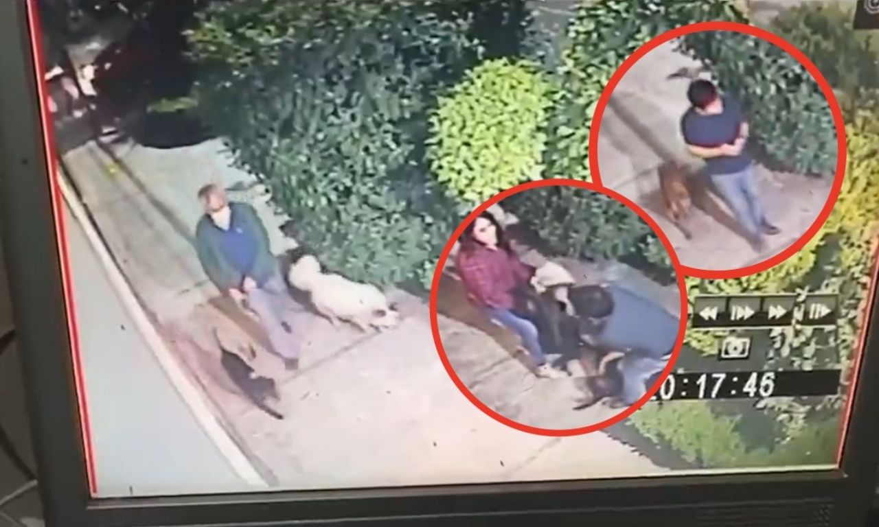 Captan en video a hombre que abandonó a su perro después de brutal ...