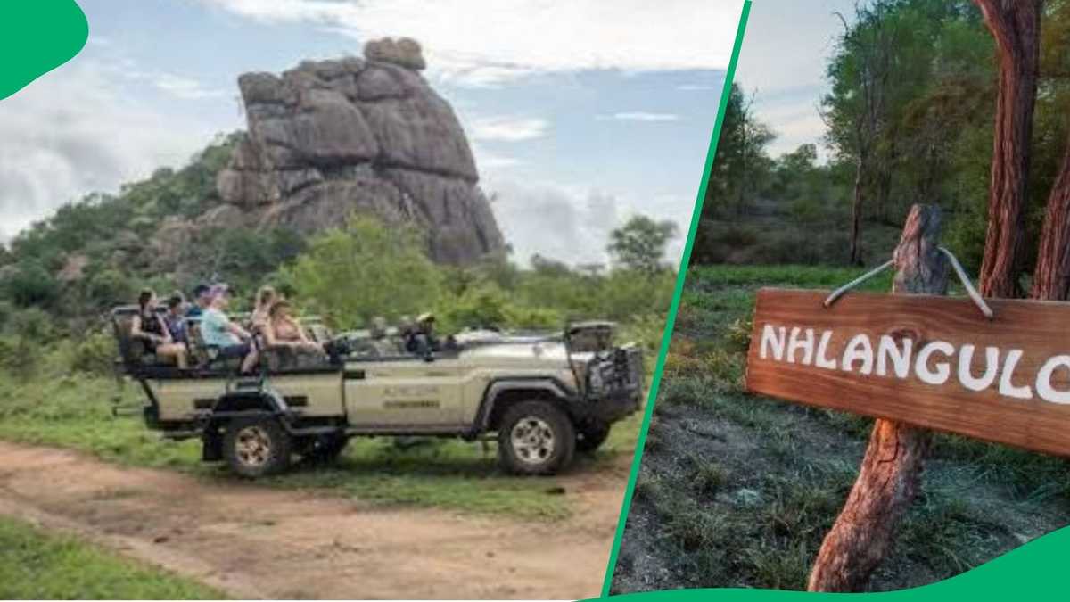 Video honours Kruger National Park's 100th anniversary amidst tragic ...