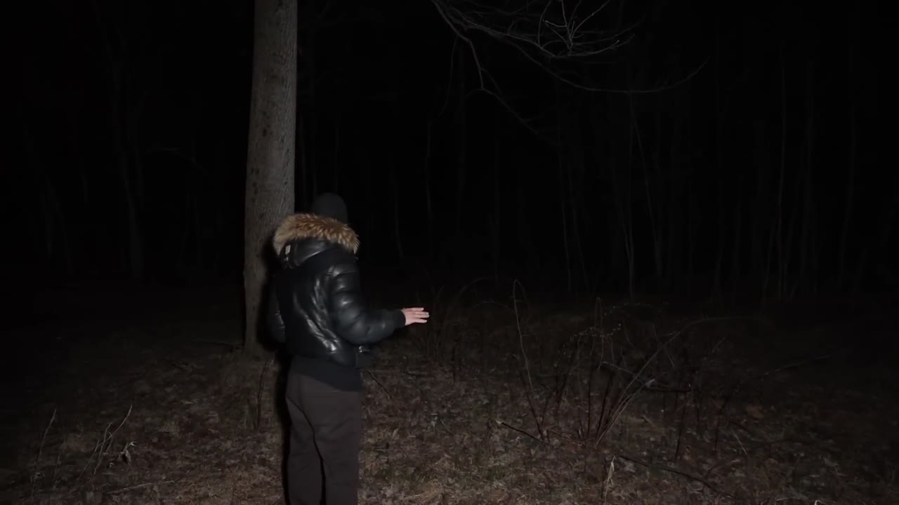 They caught on camera the chilling scream they feared was real