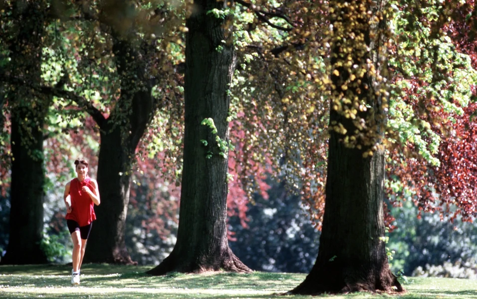 Nature exposure before exercise boosts endurance by 7.5%