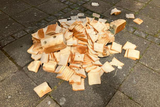 Massive mound of mouldy bread found dumped outside old department store ...