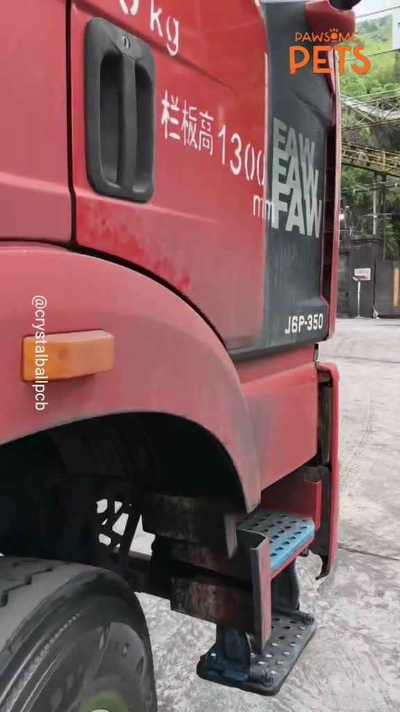 Driver makes unexpected discovery in his truck cabin