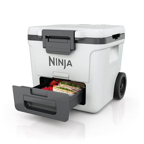 The curator: The best coolers you can get in Canada in 2026