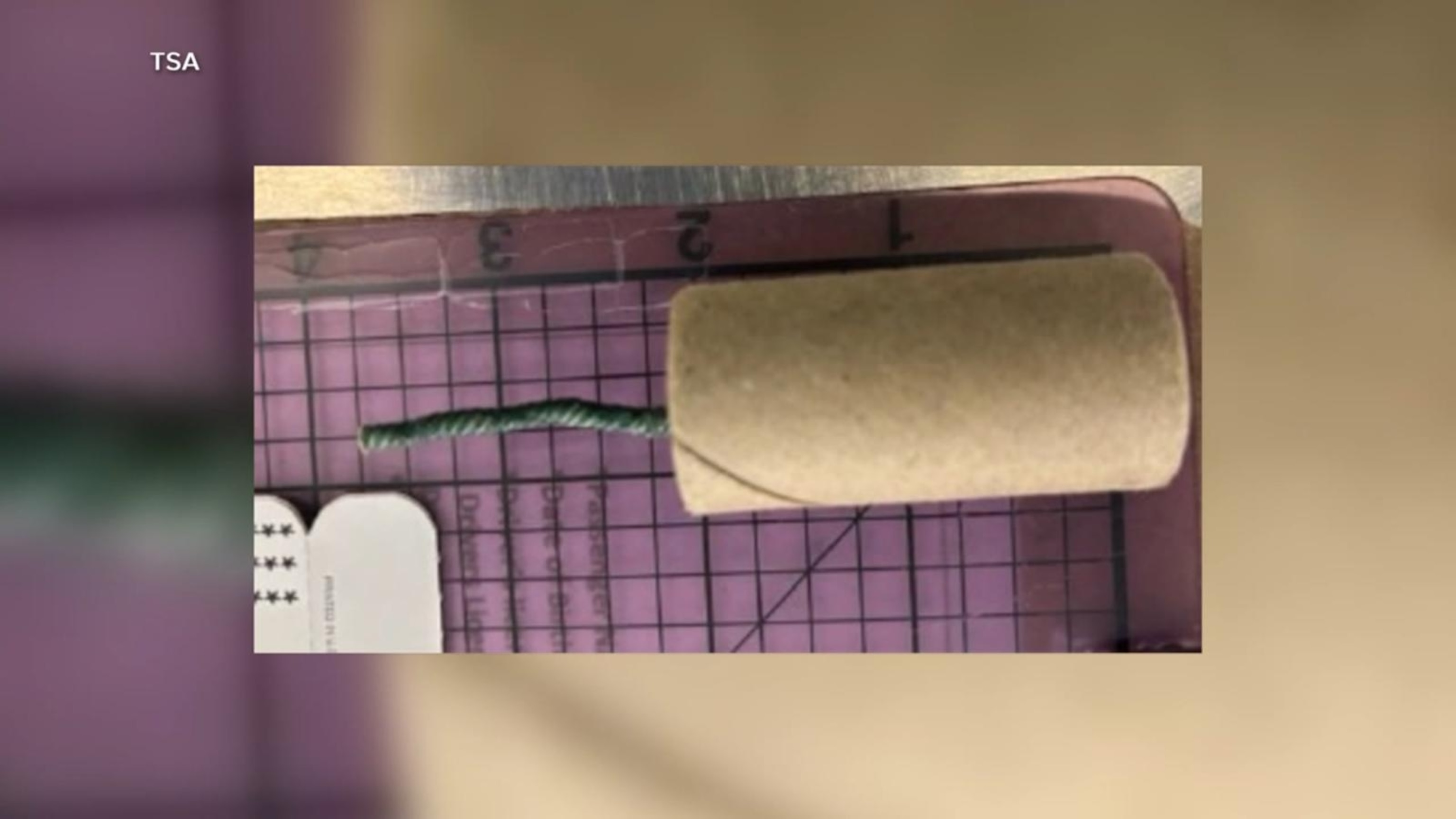 Man allegedly had explosive device in his carry-on bag at airport: TSA