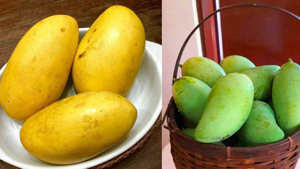 Not Alphonso! The world’s sweetest mango comes from this country