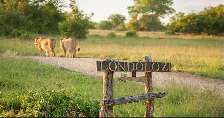 Video honours Kruger National Park's 100th anniversary amidst tragic ...