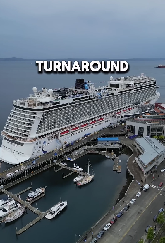 What cruise lines don't tell you about a typical day at sea