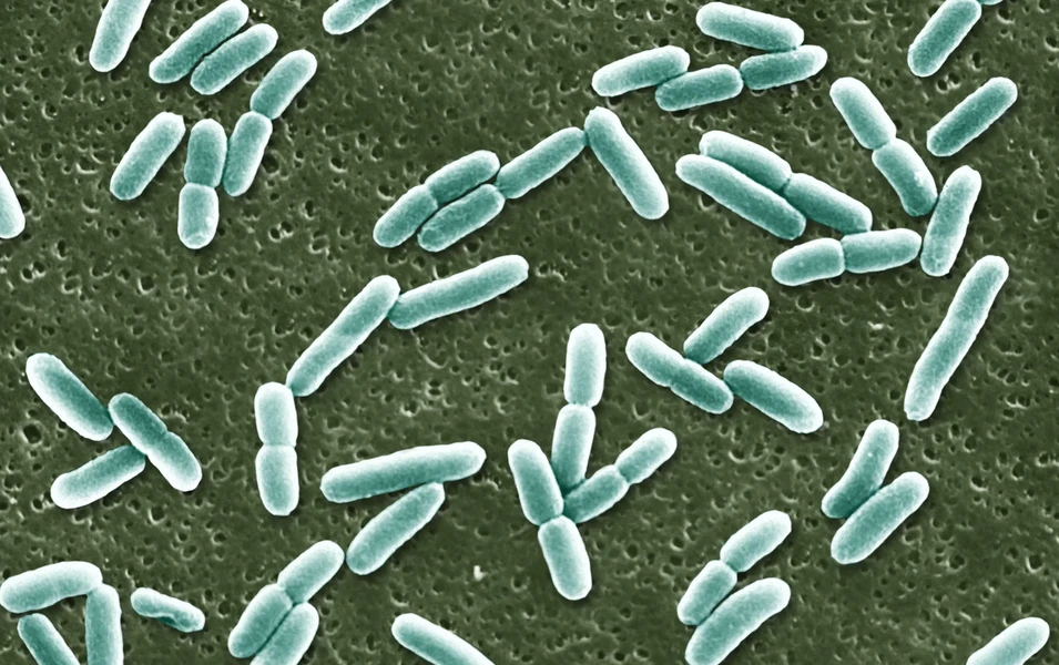 Boy survives rare E coli after being misdiagnosed twice