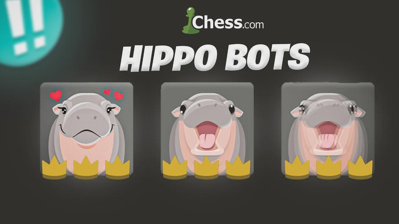 How many hippo Chess.com bots can I beat?