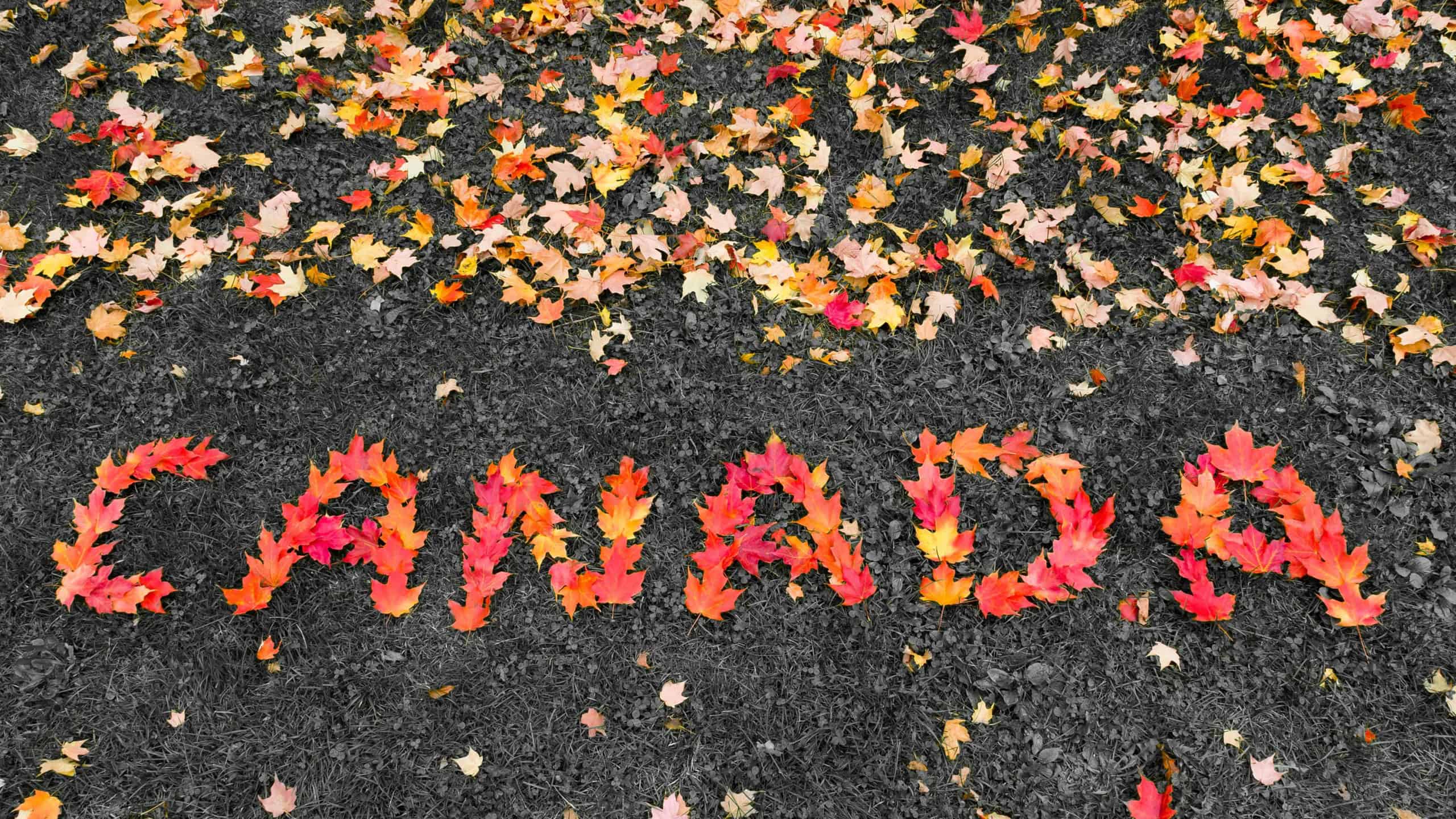 Test your Canada knowledge with these 15 fascinating facts