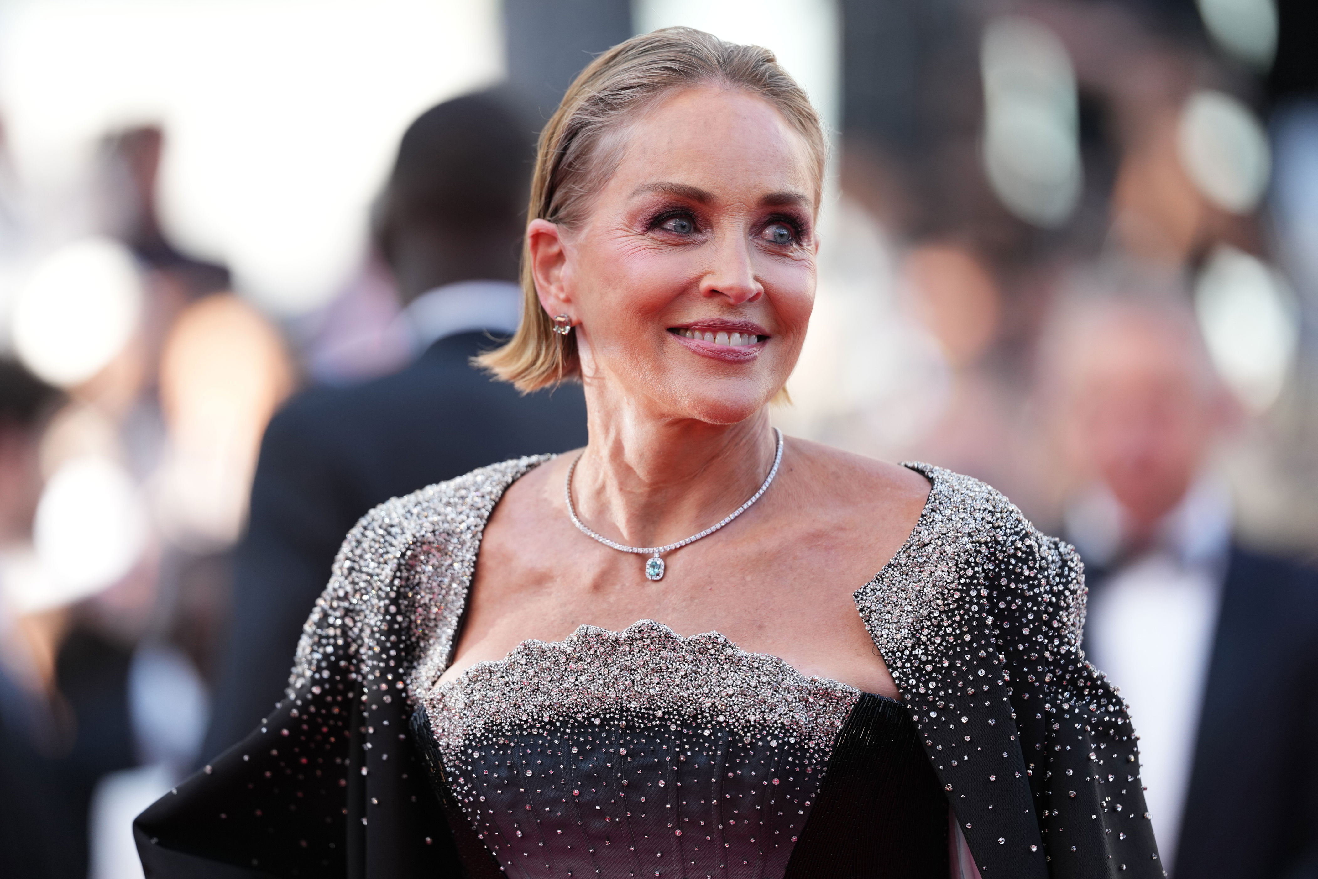 Sharon Stone mocks elderly 'Basic Instinct' reboot writer as unlikely ...
