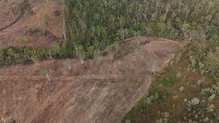 Alarm bells over land clearing after landmark report
