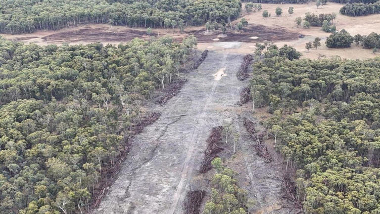 Alarm bells over land clearing after landmark report