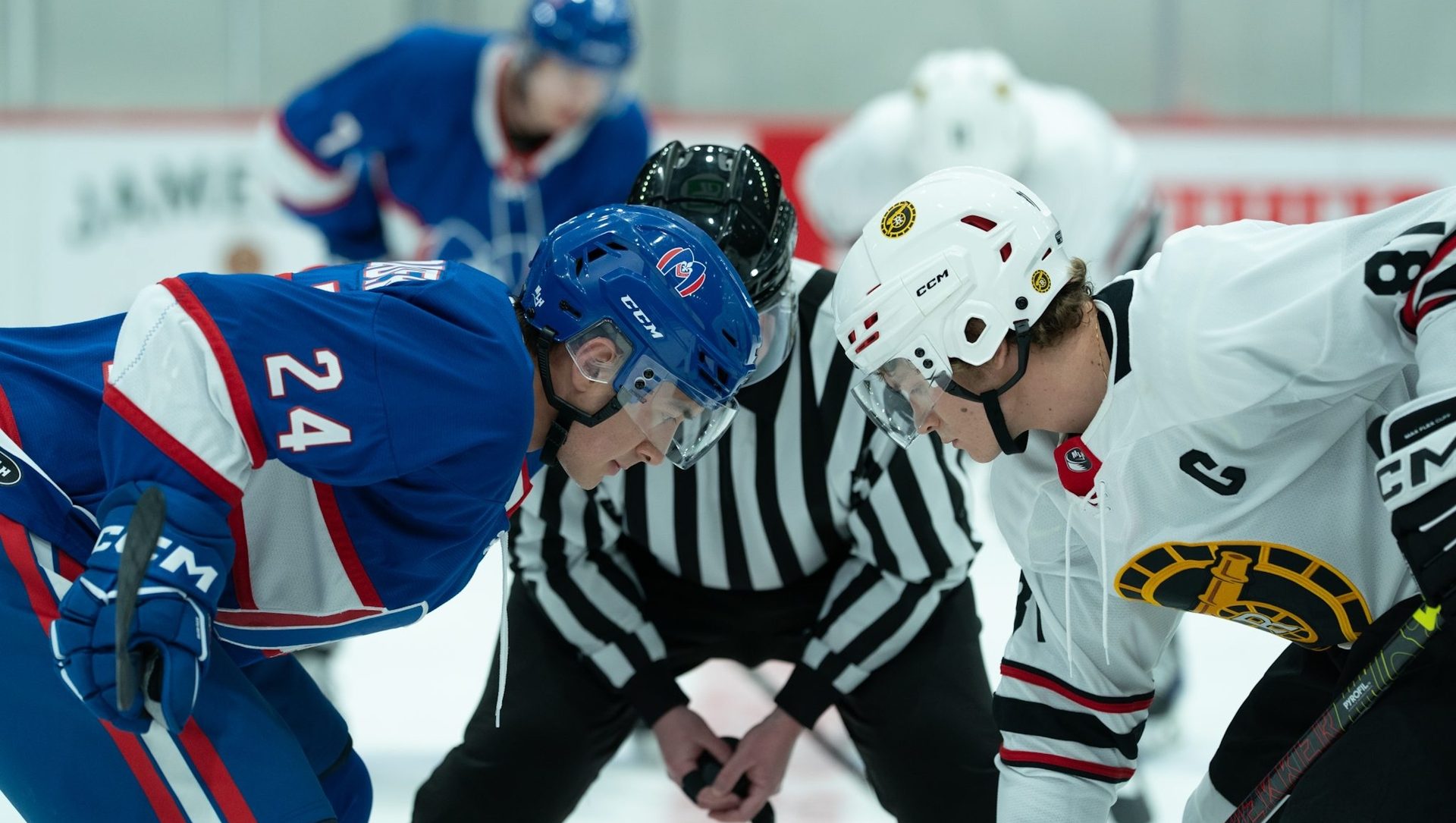 'Heated Rivalry' execs update on Jacob Tierney's season 2 work