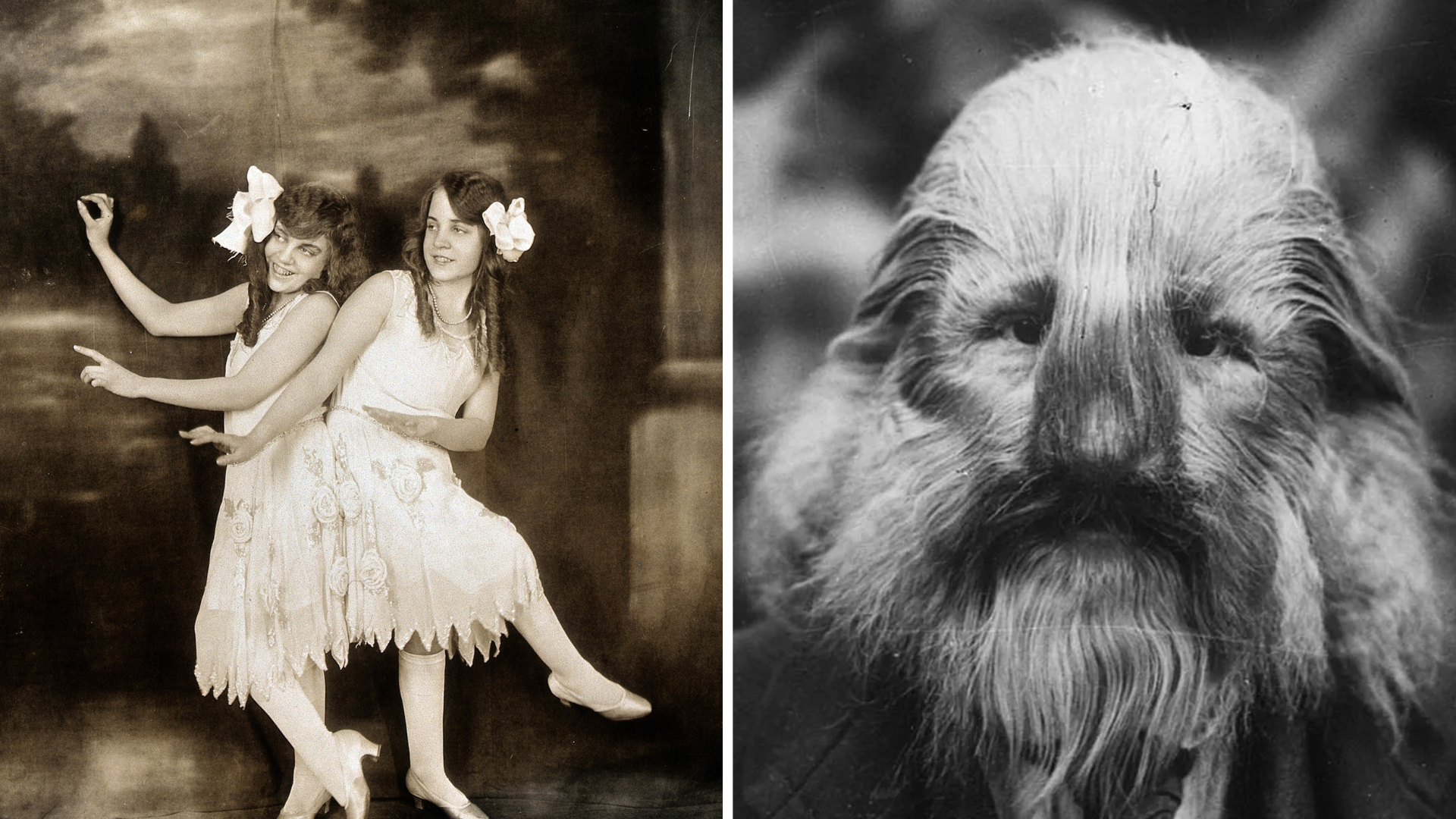 The dark side of the circus and 19 infamous performers