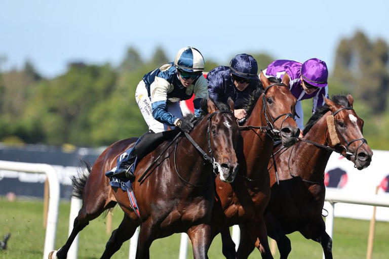 Irish TV pundit dreaming of Derby Day glory with horse named after a ...