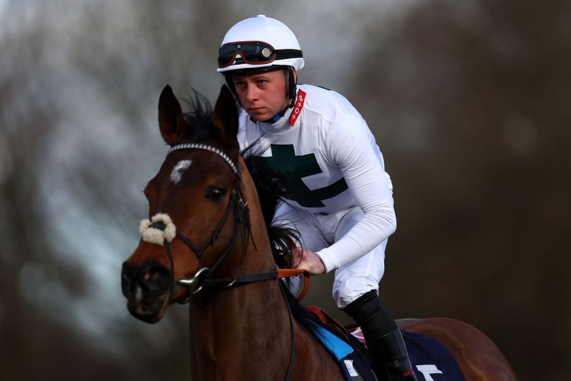 Coked-up jockey 'should've trotted away' instead of killing OAP with ...