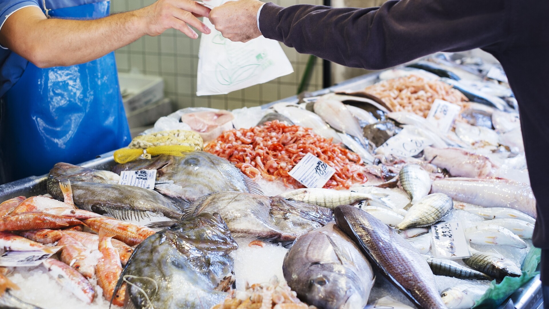'Insane': Soaring fish prices become latest cost-of-living shock