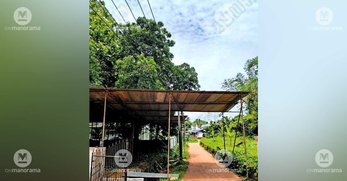 Illegal canopy built under electric lines in Kannur's Chengalayi, KSEB ...