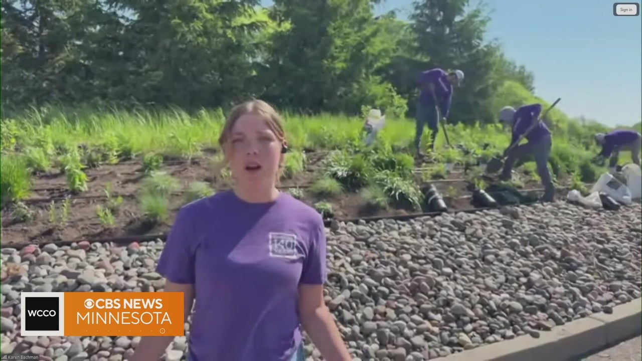 How Bachman's Buzz & Bloom Garden at Minnesota Zoo is attracting ...
