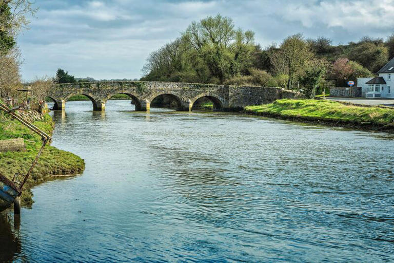 Over 20,000 fish thought dead in 'significant kill' caused by ...