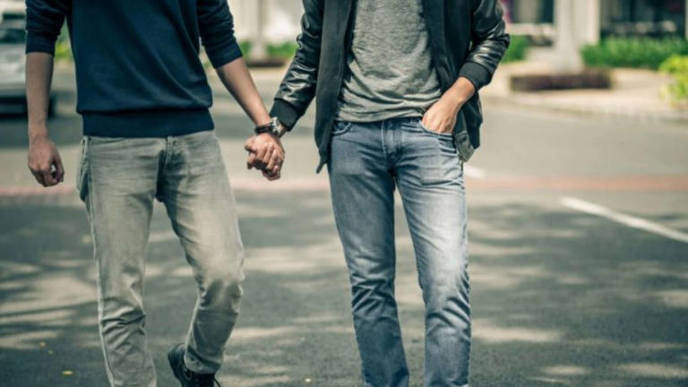Two Indian men claiming to be in same-sex relationship in New Zealand ...