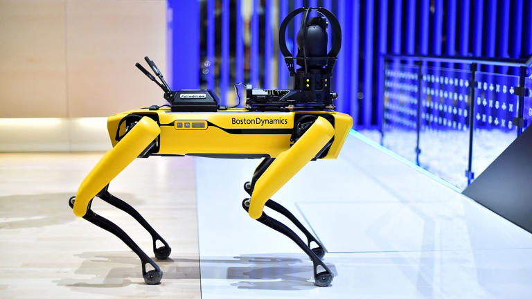 FIFA to deploy robot dogs to beef up World Cup security