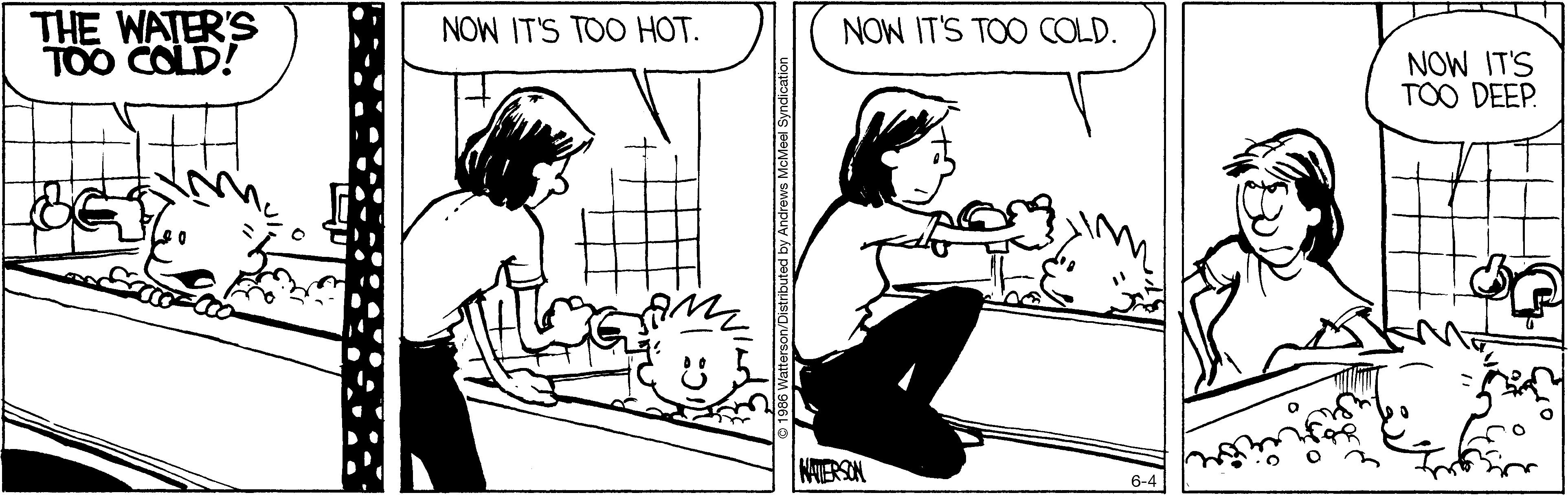 Calvin and Hobbes by Bill Watterson