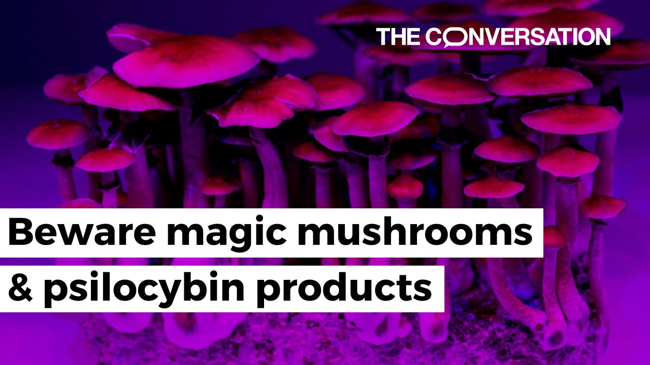 Beware magic mushrooms & psilocybin products