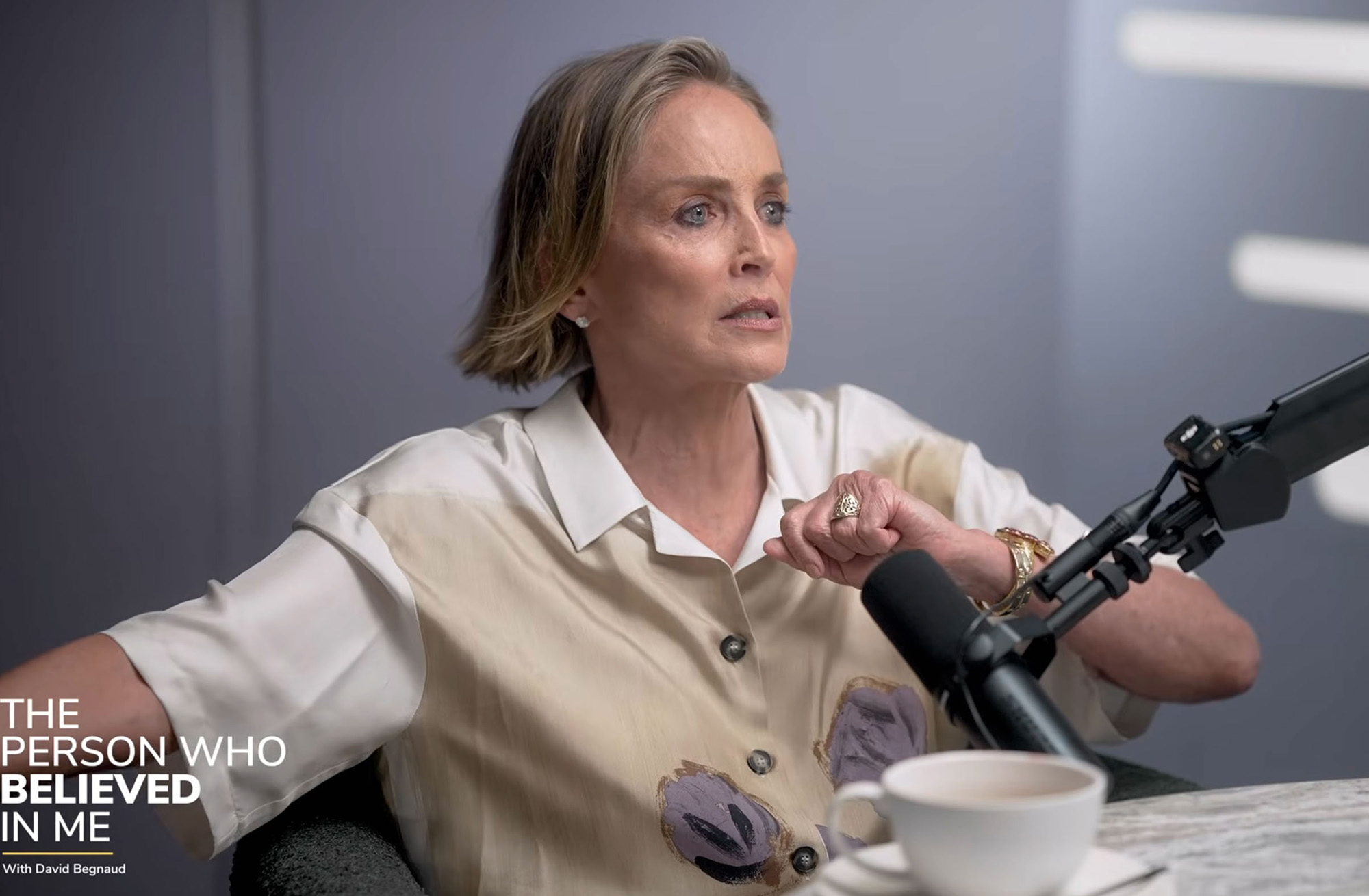 Sharon Stone suffered physical assault by mystery attacker: 'I was hit ...